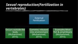 TST CURATION ASSIGNMENT Reproduction in vertebrates | PPT