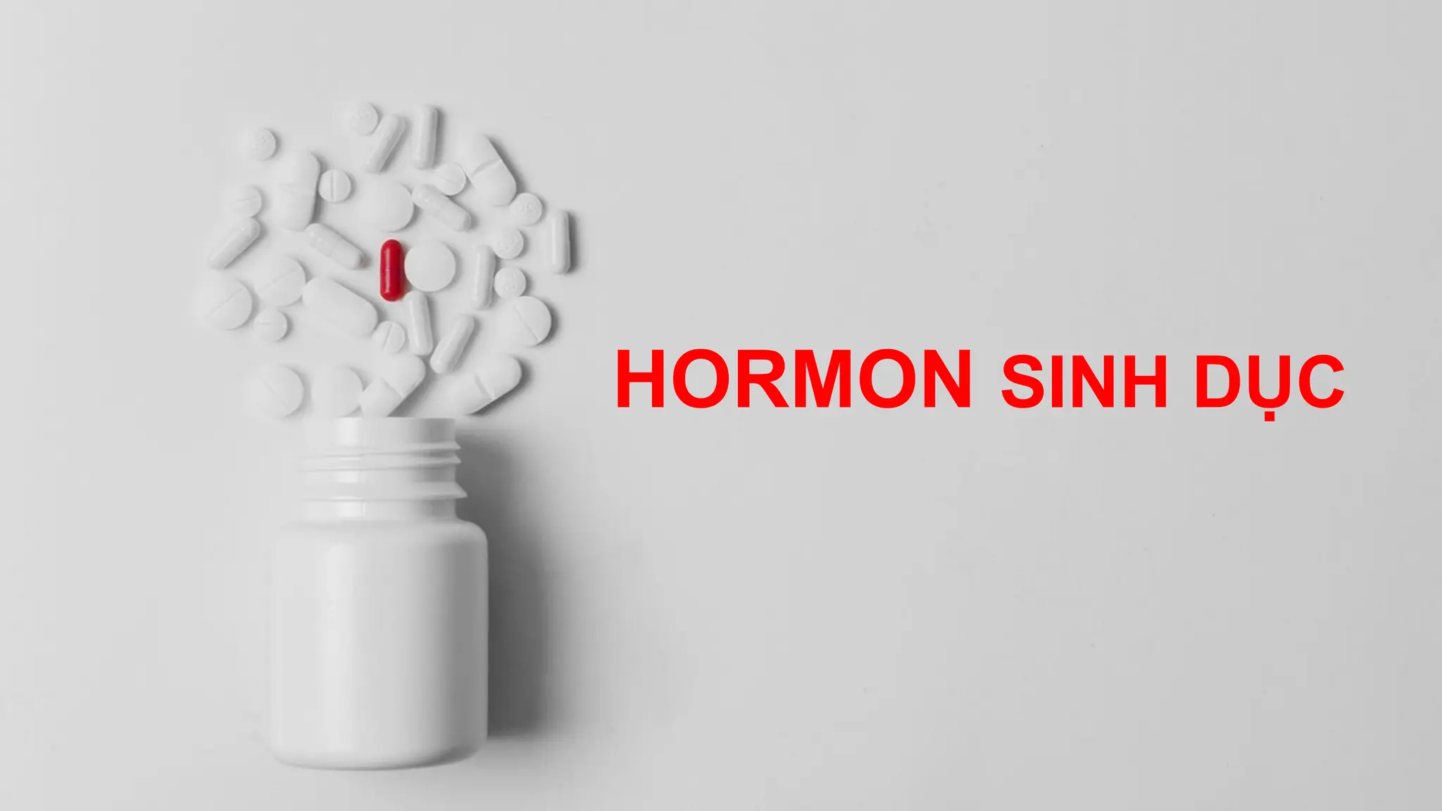 TS THẢO - HORMON-đại cương 2023 hoc y kho | PDF