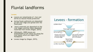 Geomorphology | PPTX
