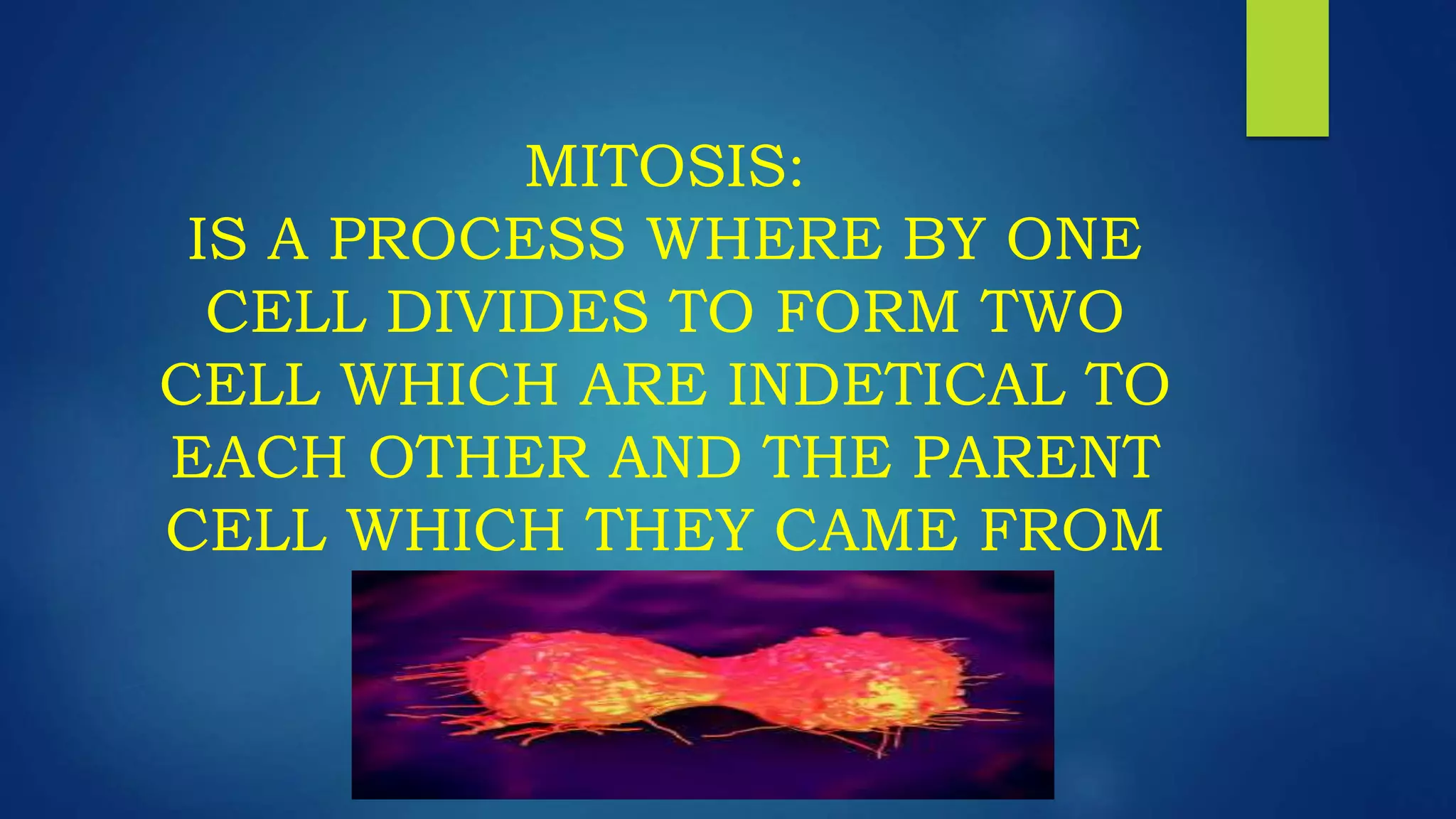 Tst presentation 2018 | PPT