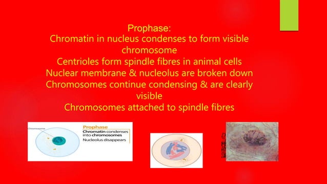Tst presentation 2018 | PPT