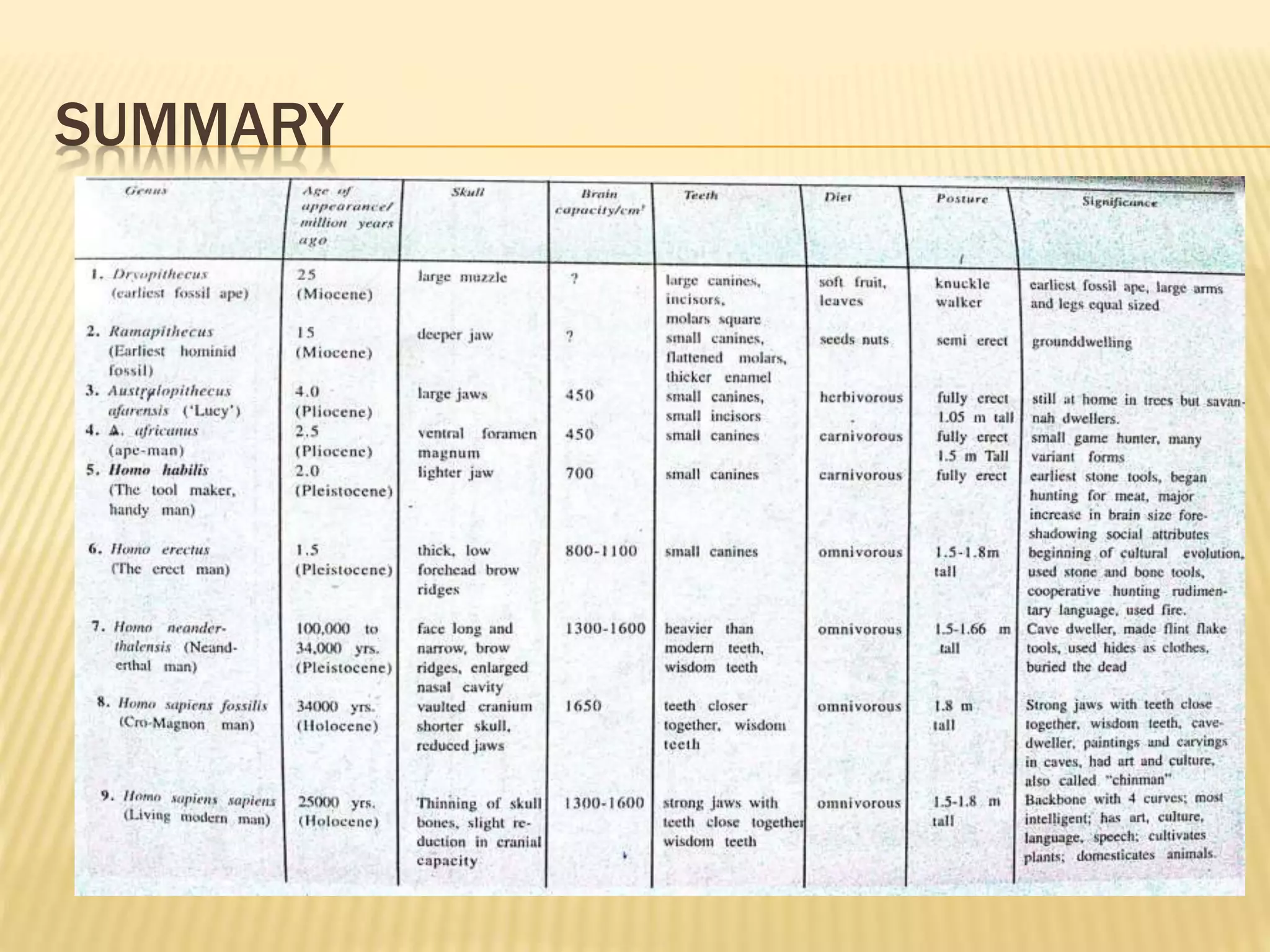 human evolution | PPTX
