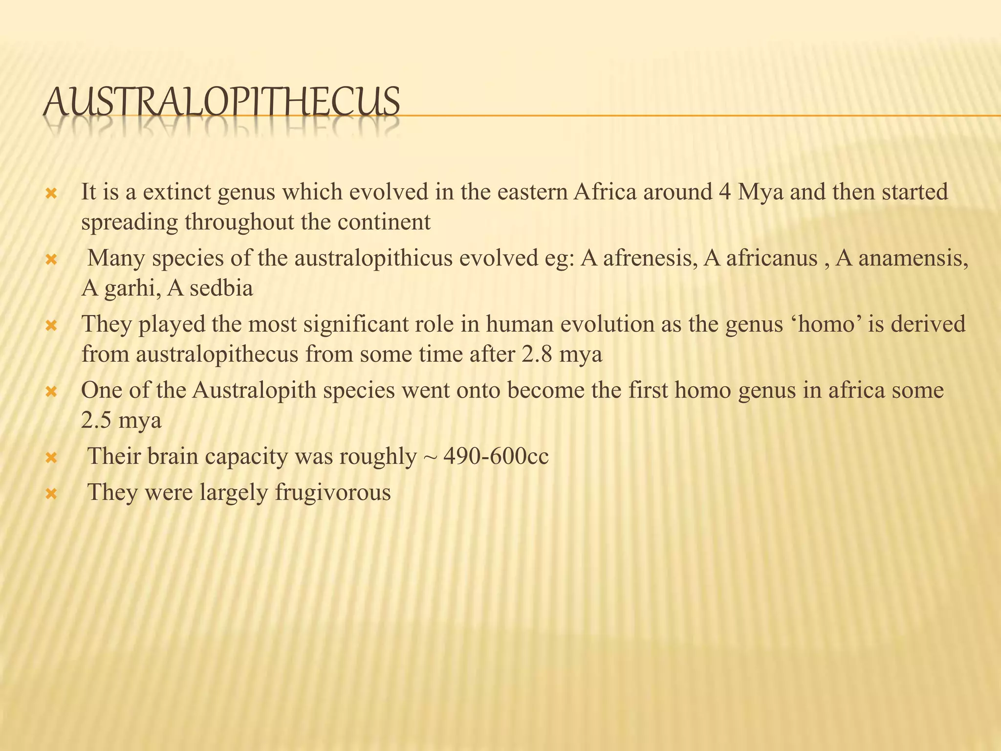 human evolution | PPTX