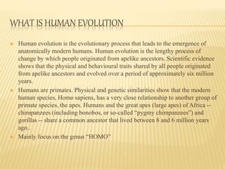 human evolution | PPTX