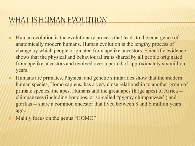 human evolution | PPT