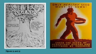 The Ideas of Race, Following classification, social Darwinism and ...