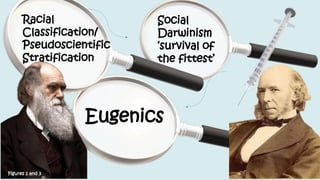 The Ideas of Race, Following classification, social Darwinism and ...