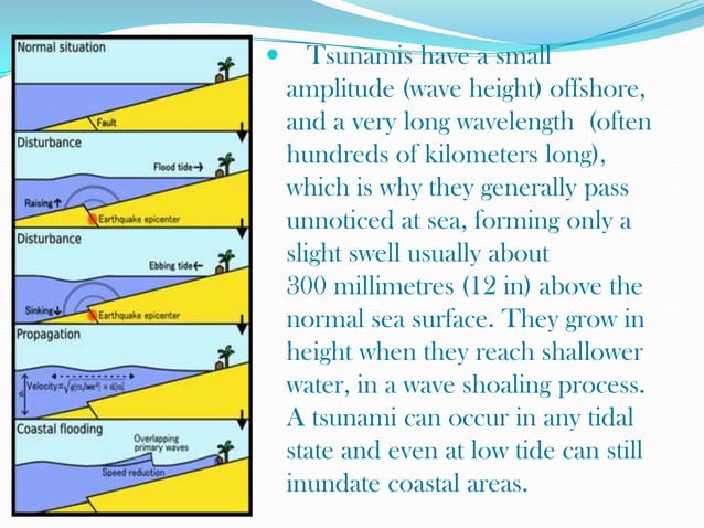 Tsunami | PPTX | Geography | Science