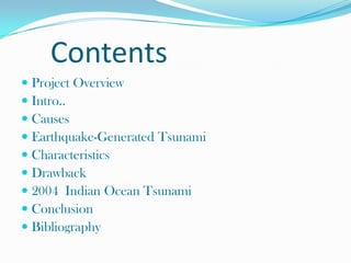 Indian Ocean Tsunami Drawback