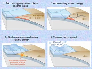 2004 Tsunami | PPT