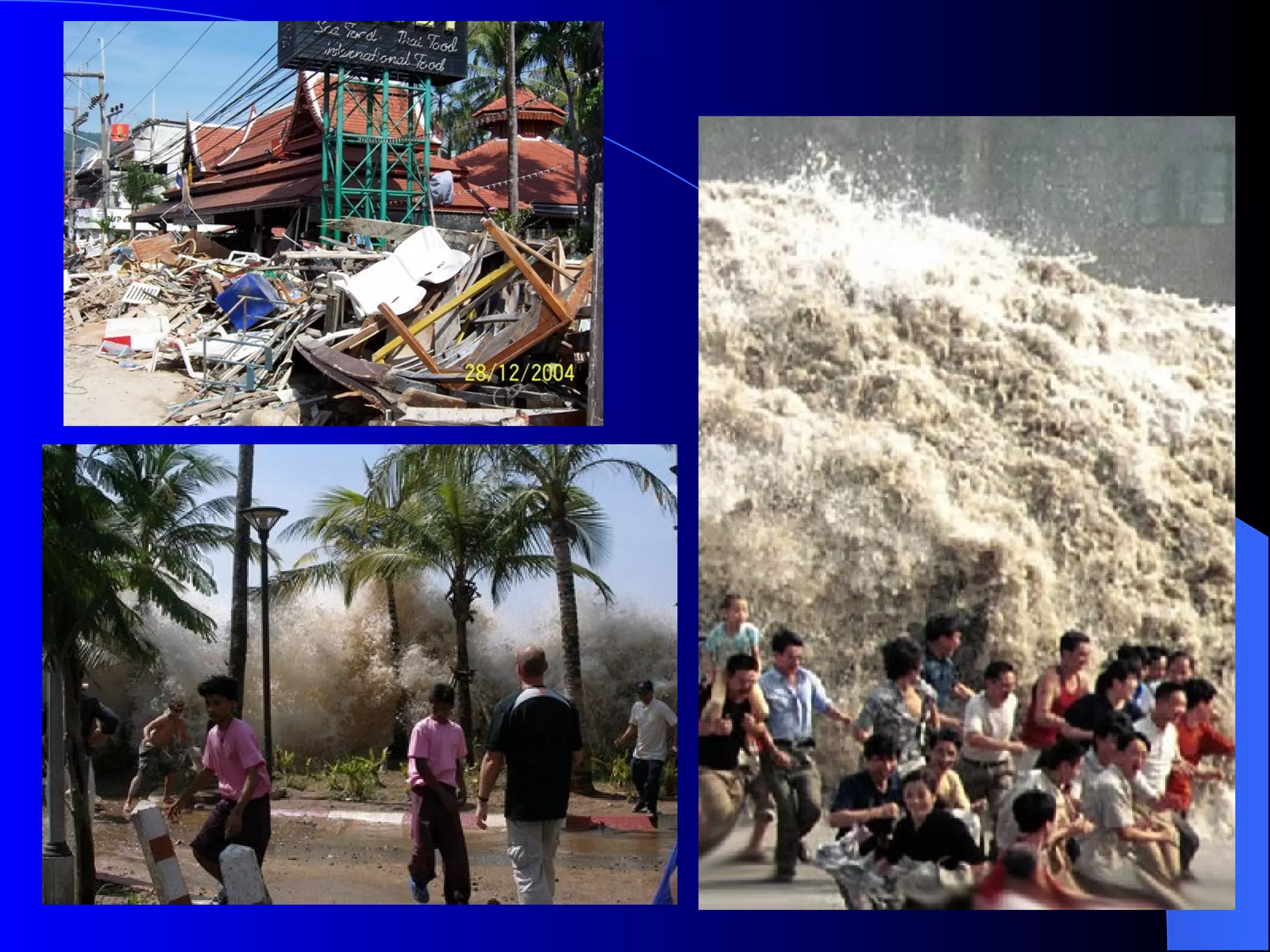 Tsunami 2004 | PPT