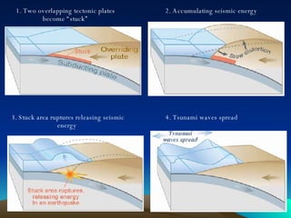 Tsunami | PPT | Geology | Science