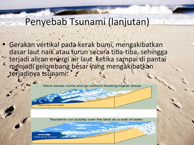 Tsunami | PPT