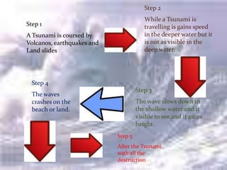 Tsunami | PPT