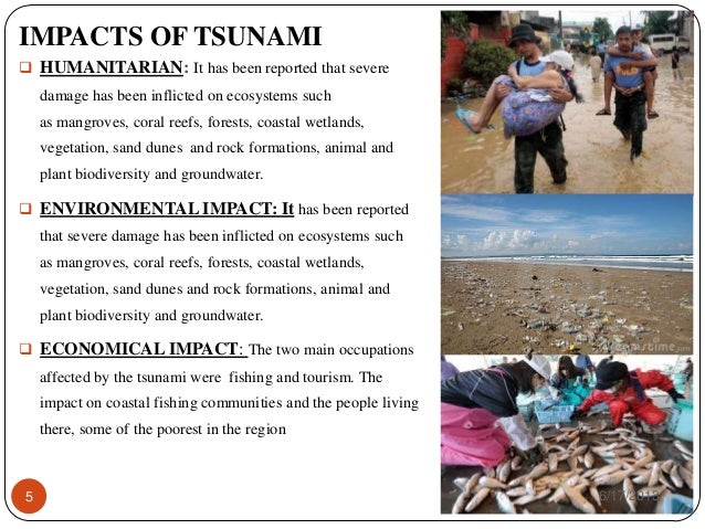 Tsunami