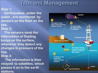 Tsunami | PPT
