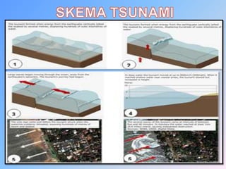 Tsunami | PPTX