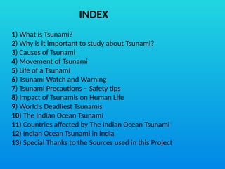 tsunami-140823003254-phpapp02 - Copy.ppt
