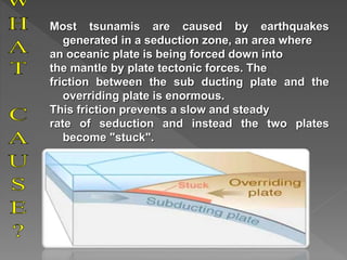 Tsunami a natural disaster | PPTX