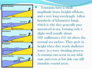 Tsunami | PPT