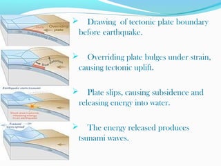 Tsunami | PPT