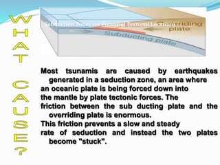 Tsunami | PPT | Free Download