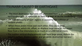 Tsunami | PPTX