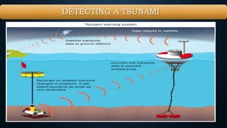 Tsunami | PPT