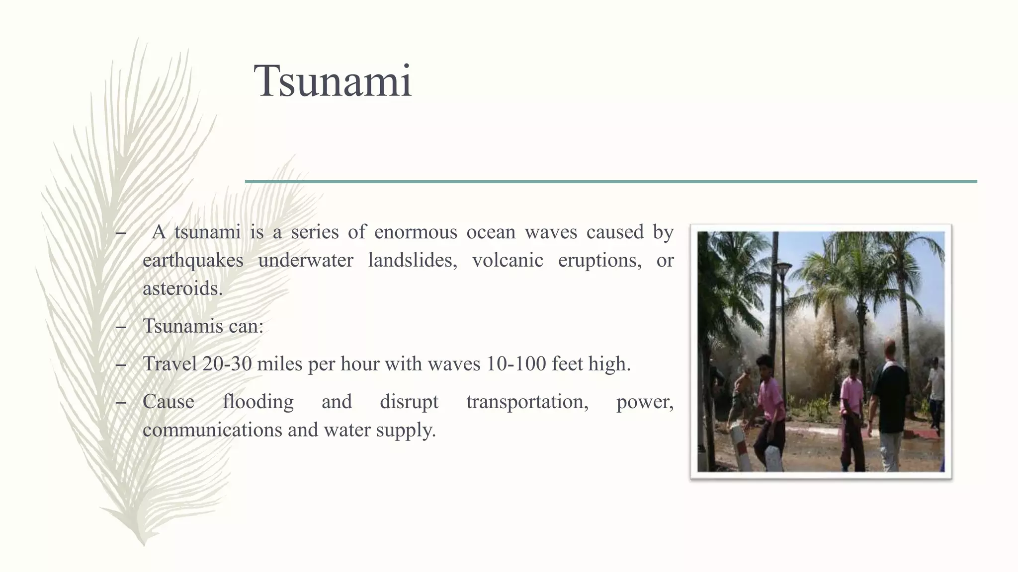 Tsunami | PPT