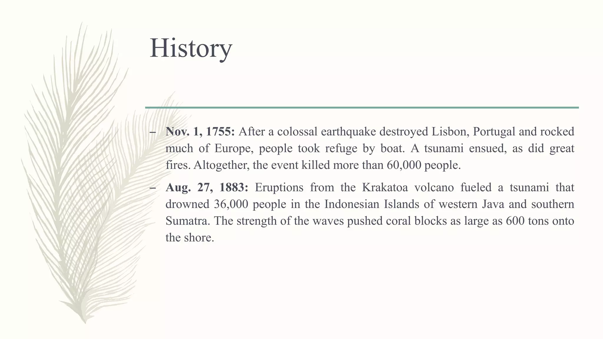 Tsunami | PPT