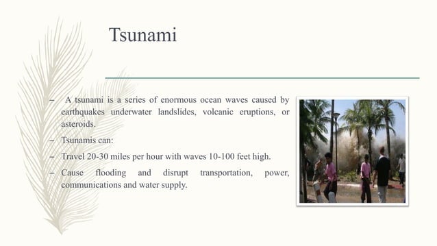 Tsunami | PPT