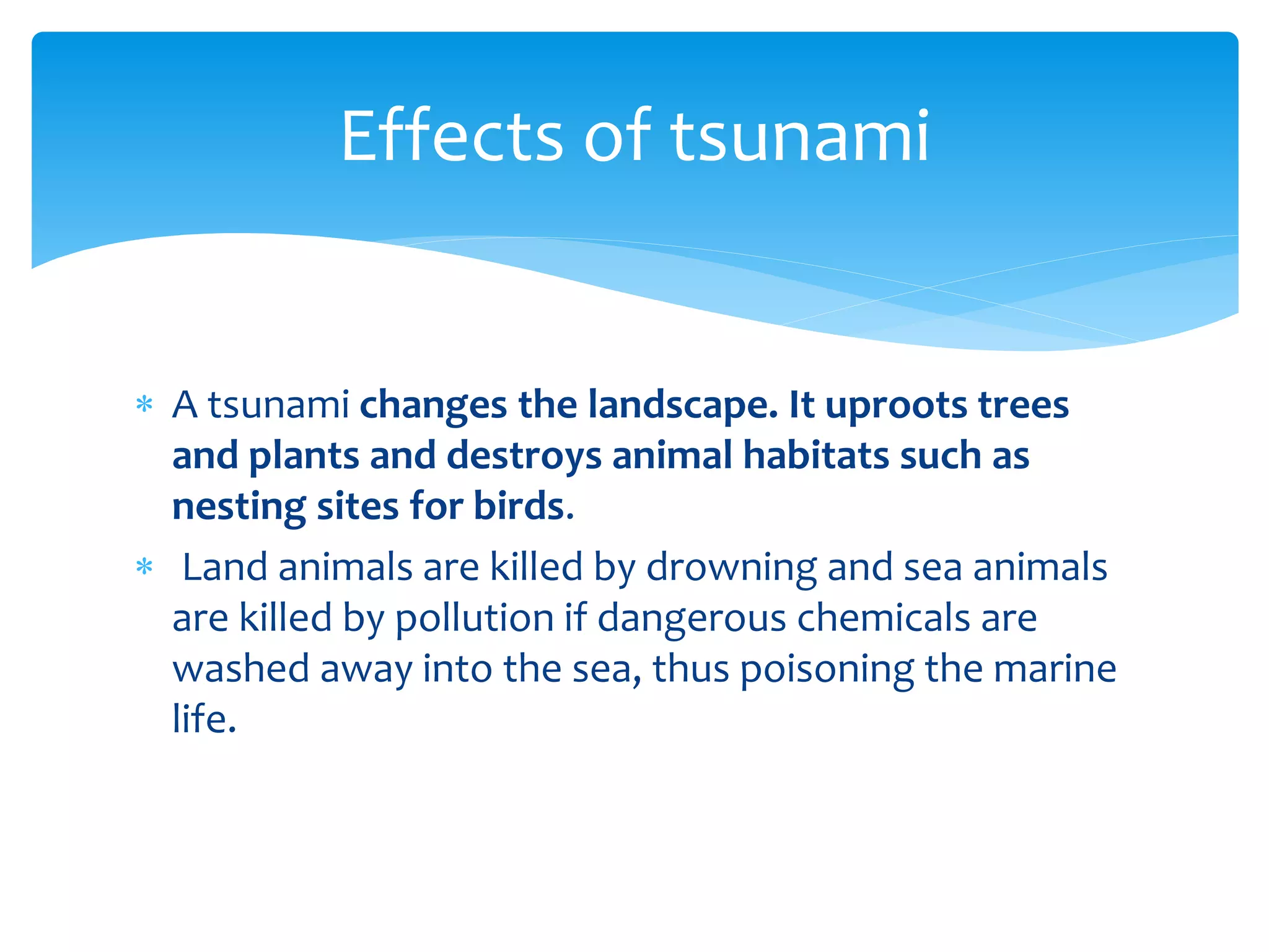 TSUNAMI in environmental geology | PPTX