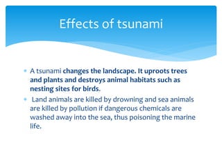 TSUNAMI in environmental geology | PPTX