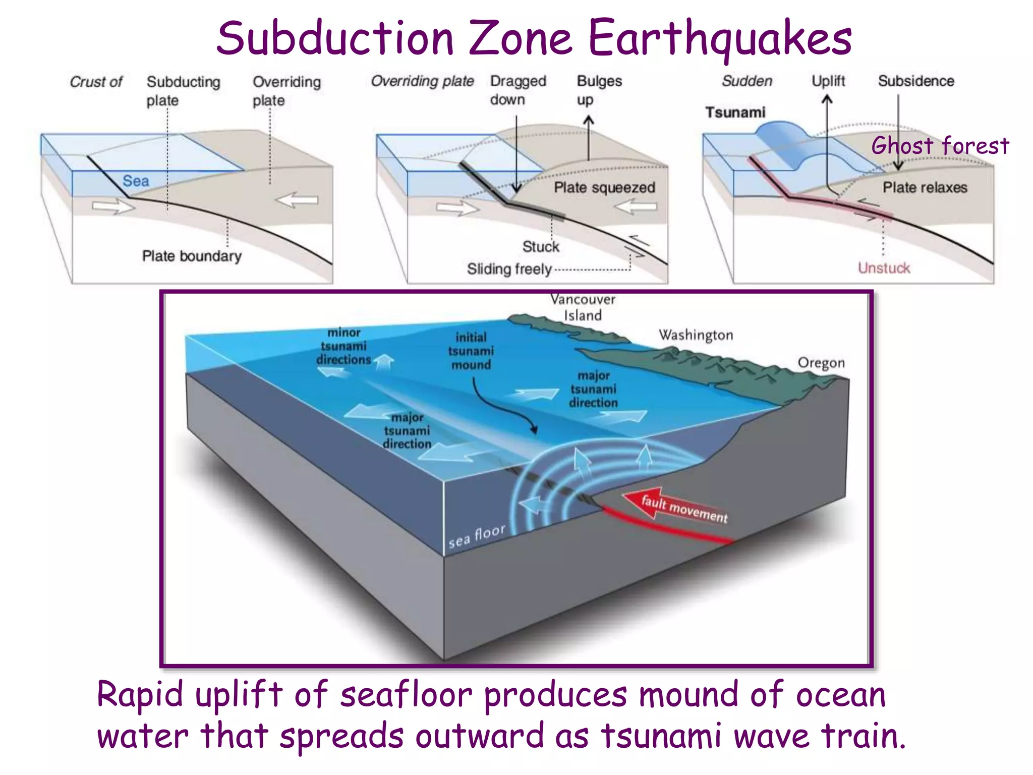 Tsunami Basics Presentation | PPTX | Geography | Science