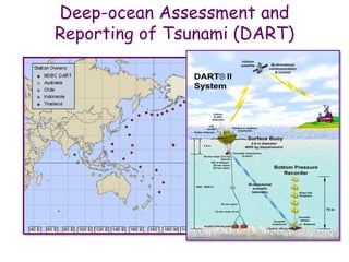 Tsunami Basics Presentation | PPTX | Geography | Science