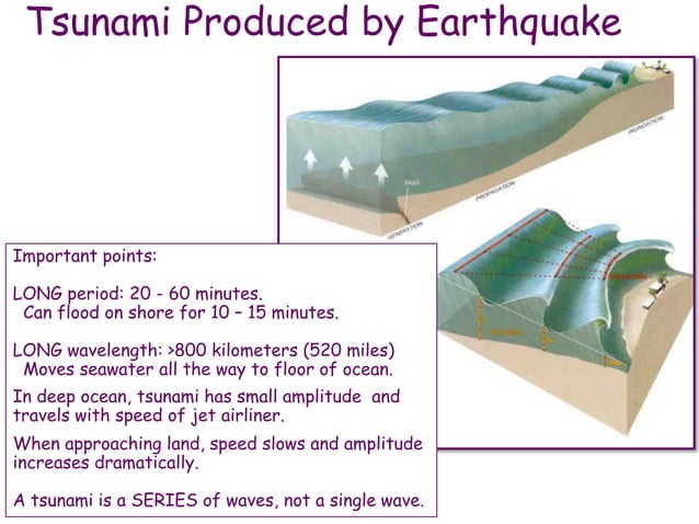 Tsunami Basics Presentation | PPTX | Geography | Science