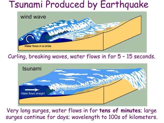 Tsunami Basics Presentation | PPTX | Geography | Science