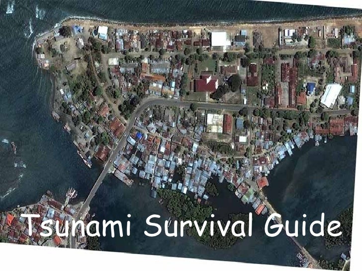 Tsunami Survival Kit
