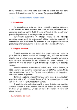 Tsunami2 | DOCX