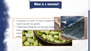 Overview Tsunami as a Natural Disaster.pptx