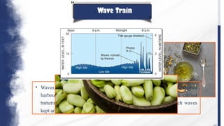 Overview Tsunami as a Natural Disaster.pptx