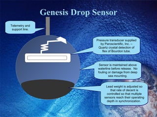 Tsunami Detector1 Ppt | PPT