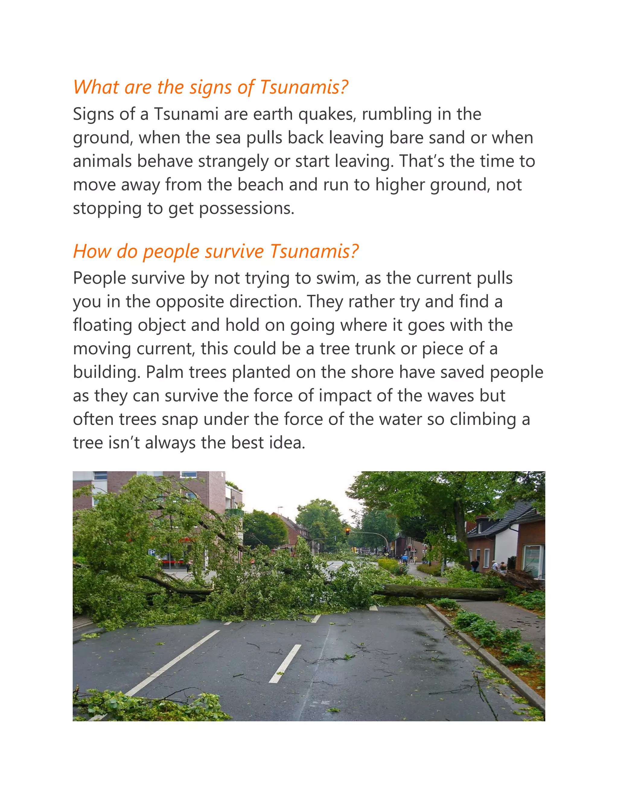 Tsunami facts | PDF