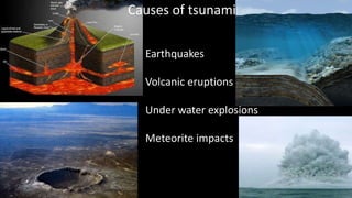 Tsunami | PPT