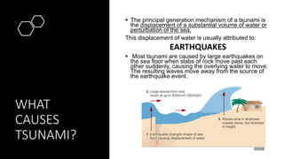 Tsunami | PPT