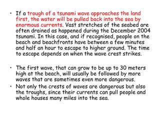 Tsunami Nsr | PPT
