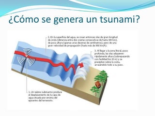 Tsunami Powerpoint | PPTX