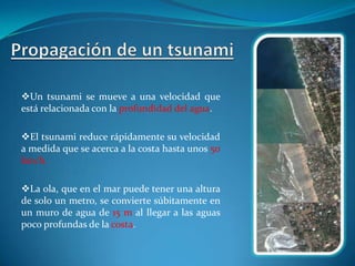 Tsunami Powerpoint | PPTX