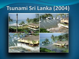 Tsunami Powerpoint | PPTX
