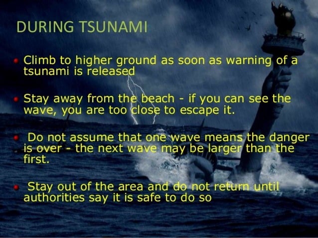 Tsunami ppt.pptx | Disasters